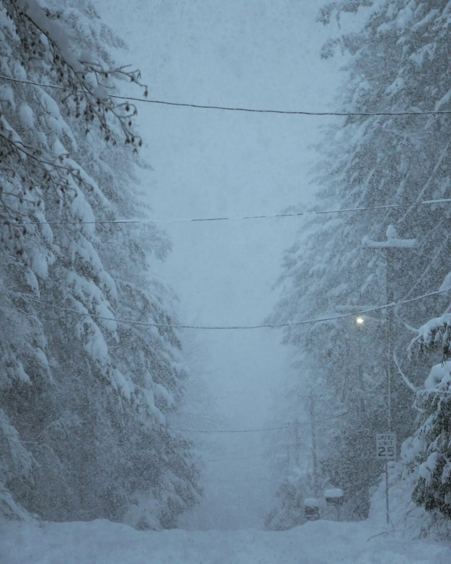 The Ultimate Guide to Winter Storm Preparedness - Hope Force International